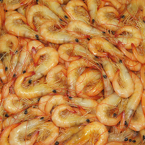 Kings Nth...Wild Fresh Delicious - Strathpine Aussie Seafood House