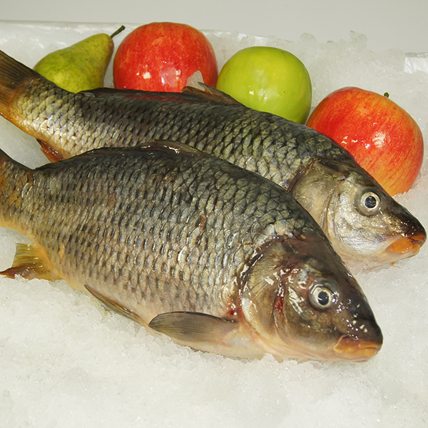 Carp Fresh - Strathpine Aussie Seafood House