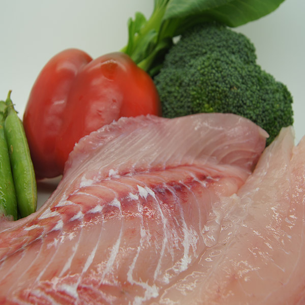 Snapper Fillets Fresh Queensland - Strathpine Aussie Seafood House