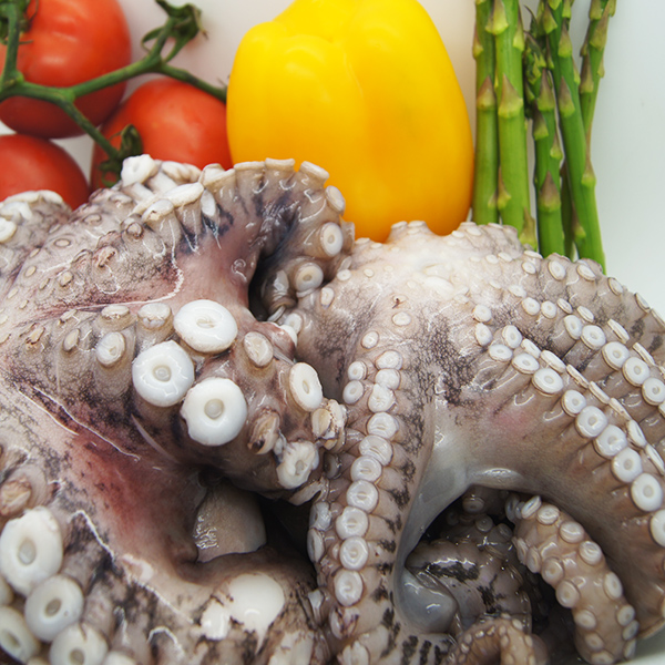 Octopus Large Wild Caught - Strathpine Aussie Seafood House