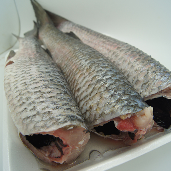 Sea/Beach Mullet Barrels ... 10 kg Box for $3.99 kg... - Strathpine ...