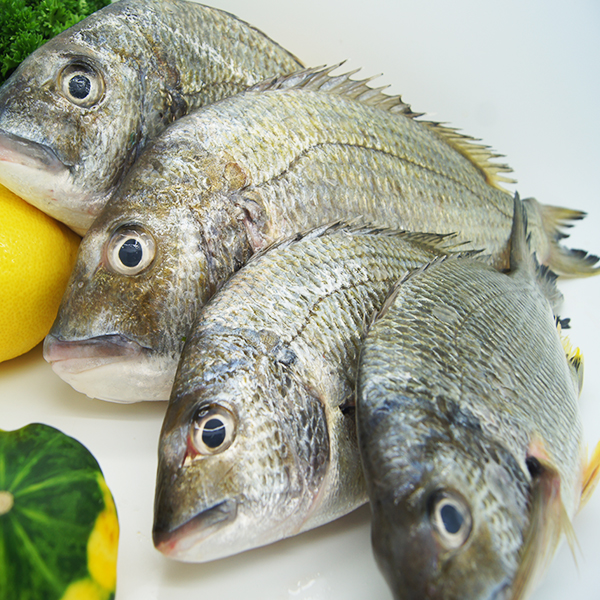 Silver Bream Local Wild Caught $11.99 kg - Strathpine Aussie Seafood House