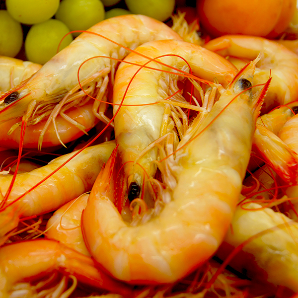 Fresh Wild Caught Queensland Prawn's & Crab's Archives - Strathpine ...
