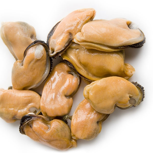 Mussel Meat NZ's Best - Strathpine Aussie Seafood House