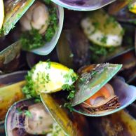 Scallop's, Oyster's, Mussels, Shellfish & Kina Archives - Page 2 of 3 ...