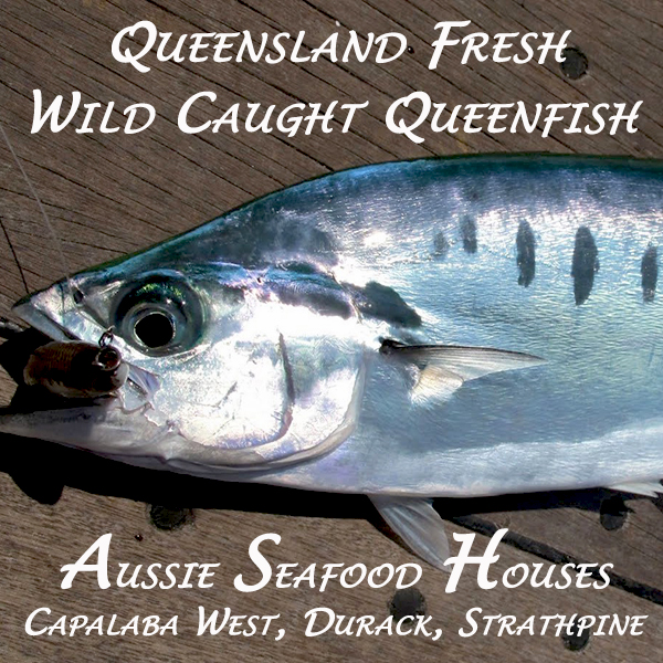 Fresh Whole Fish Archives - Page 2 of 4 - Strathpine Aussie Seafood House