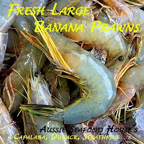 Fresh Wild Caught Queensland Prawn's & Crab's Archives - Strathpine ...