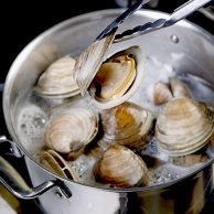 Pipi's..Clam...Wild Caught - Strathpine Aussie Seafood House