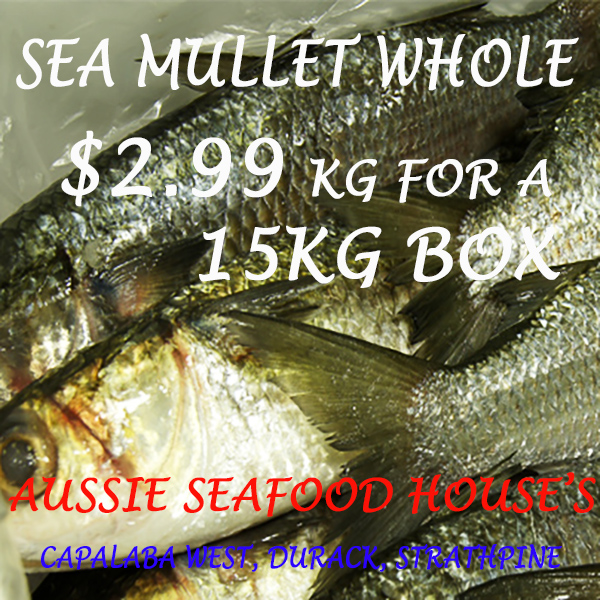 Sea Mullet $2.99 kg.... 15 kg Box - Strathpine Aussie Seafood House