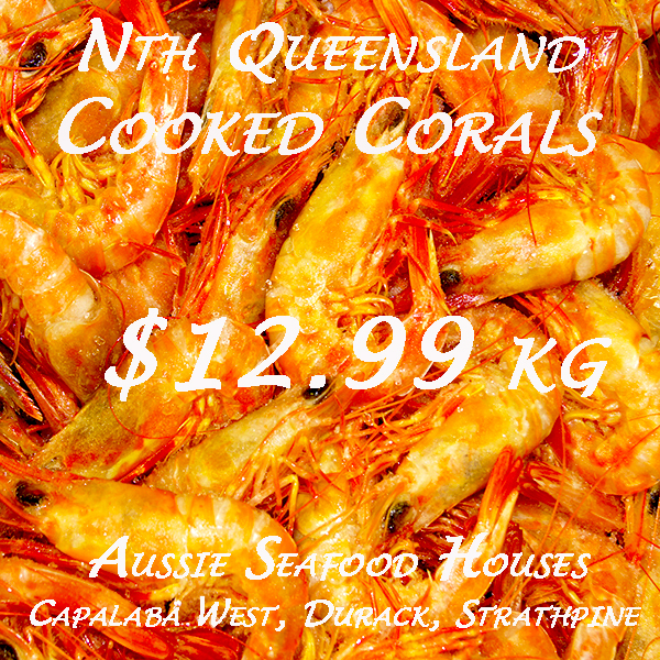 Coral Prawns Townsville - Strathpine Aussie Seafood House